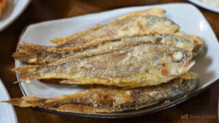 5 Facts About Corvina Fish You Need to Know