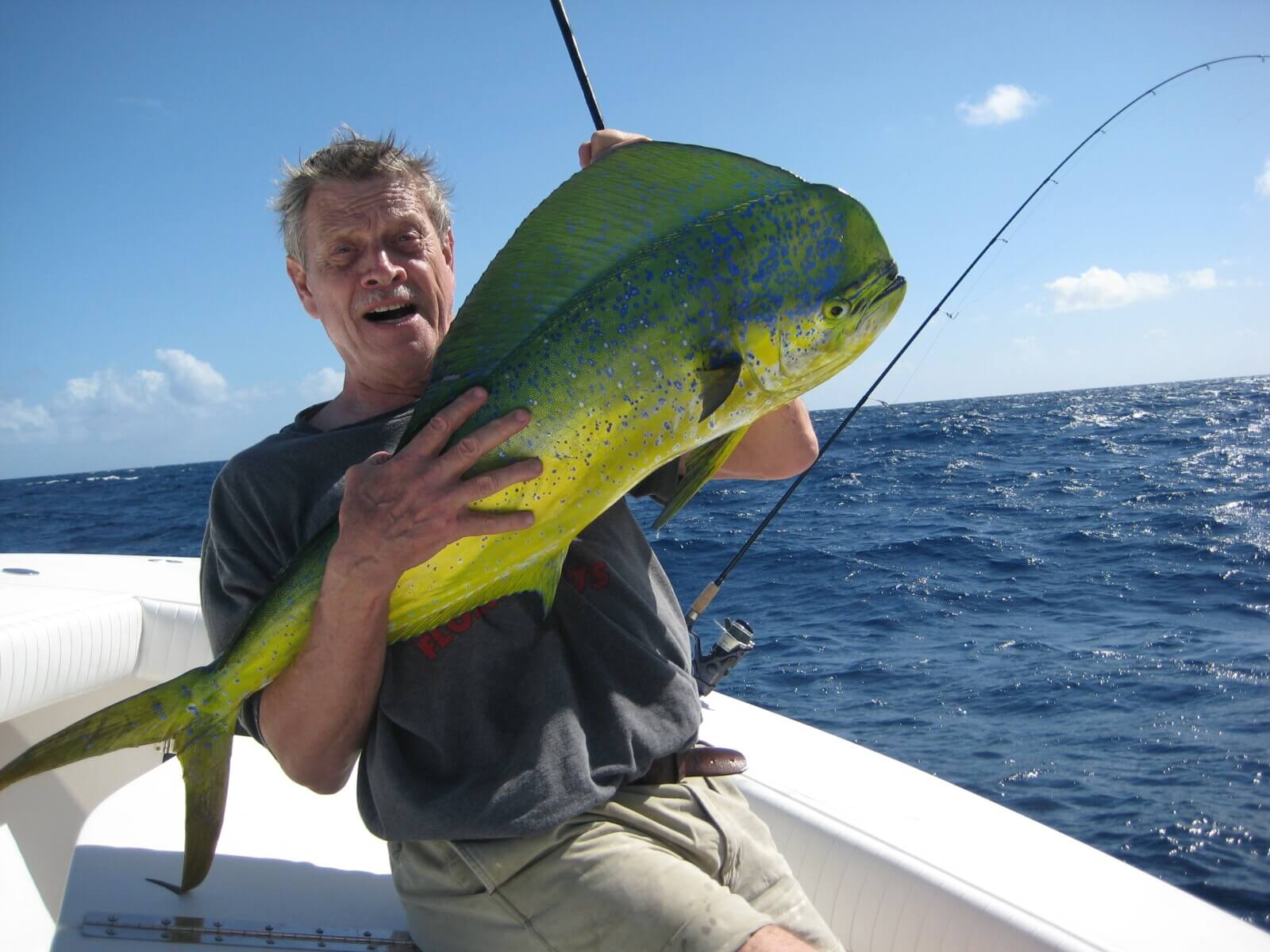 5 Facts About What Mahi Mahi Tastes Like To Enjoy This Fish