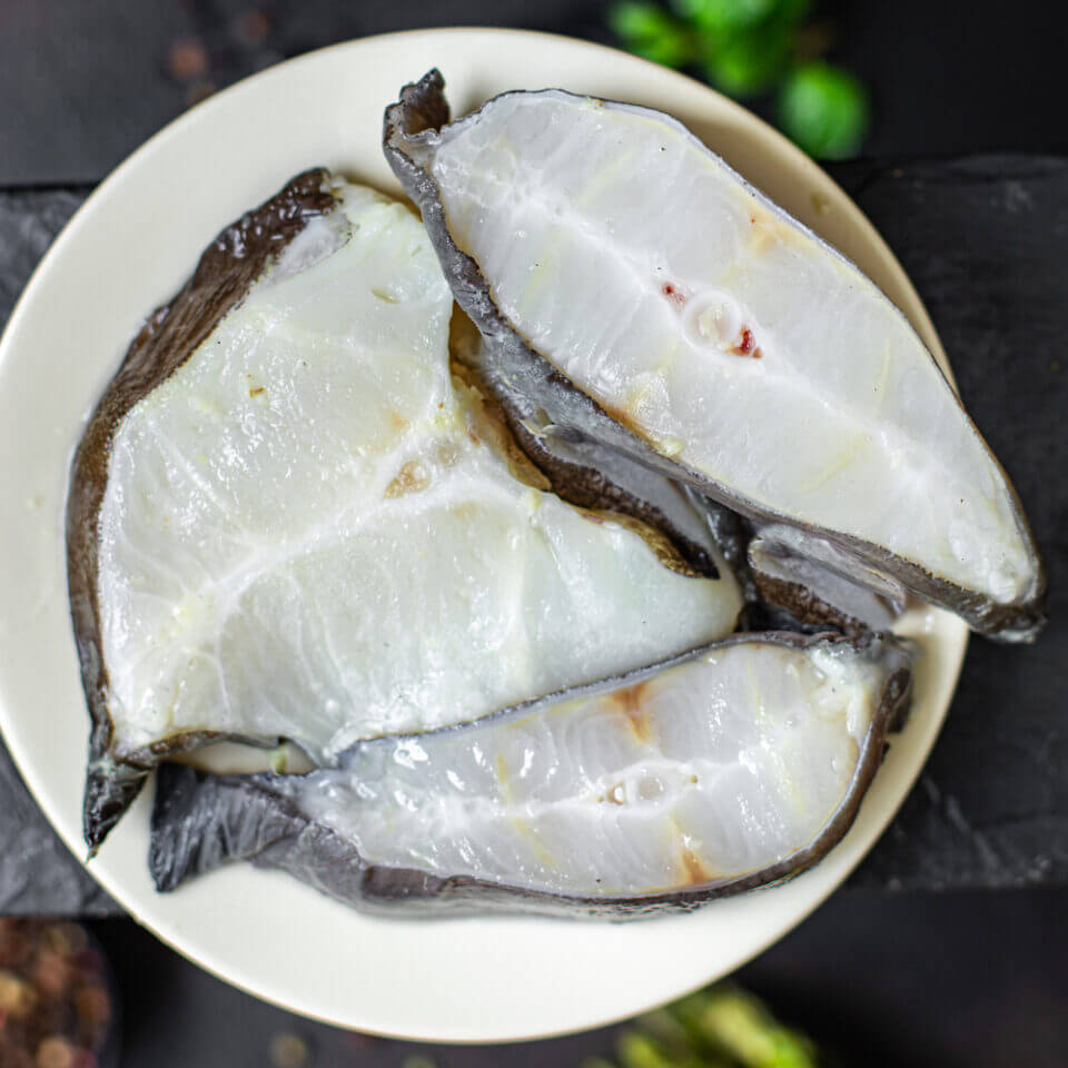 5 Facts About Corvina Fish You Need to Know
