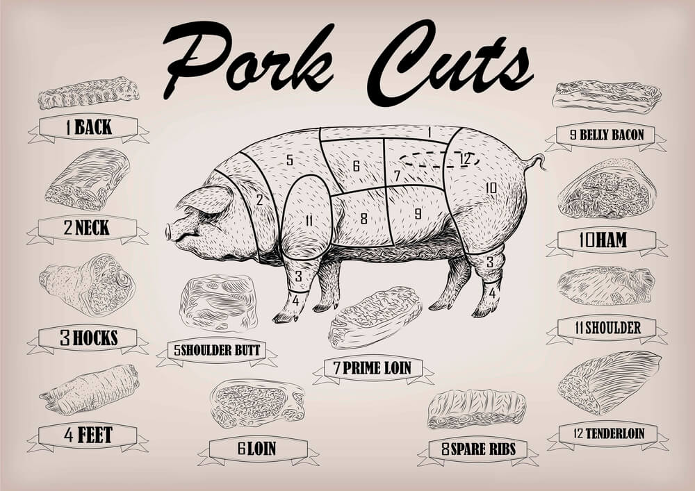 10 Pork Meat Facts Everyone Should Know for Better Meals