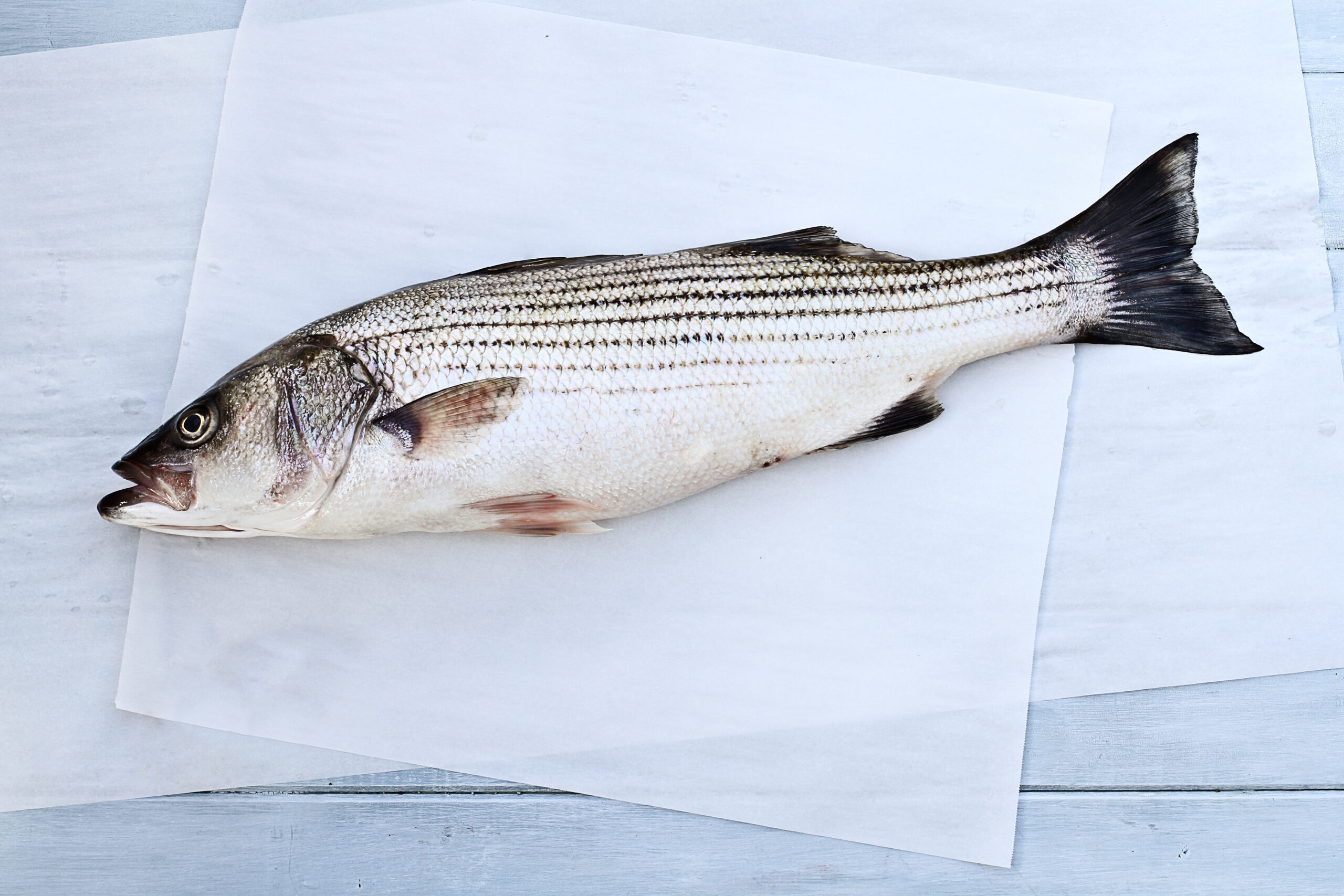 13+ Cheapest Types of Fish to Buy on a Budget
