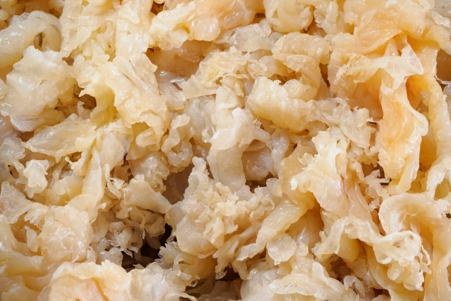 7 Exotic Meats To Try For A Unique And Tasty Cooking Experience