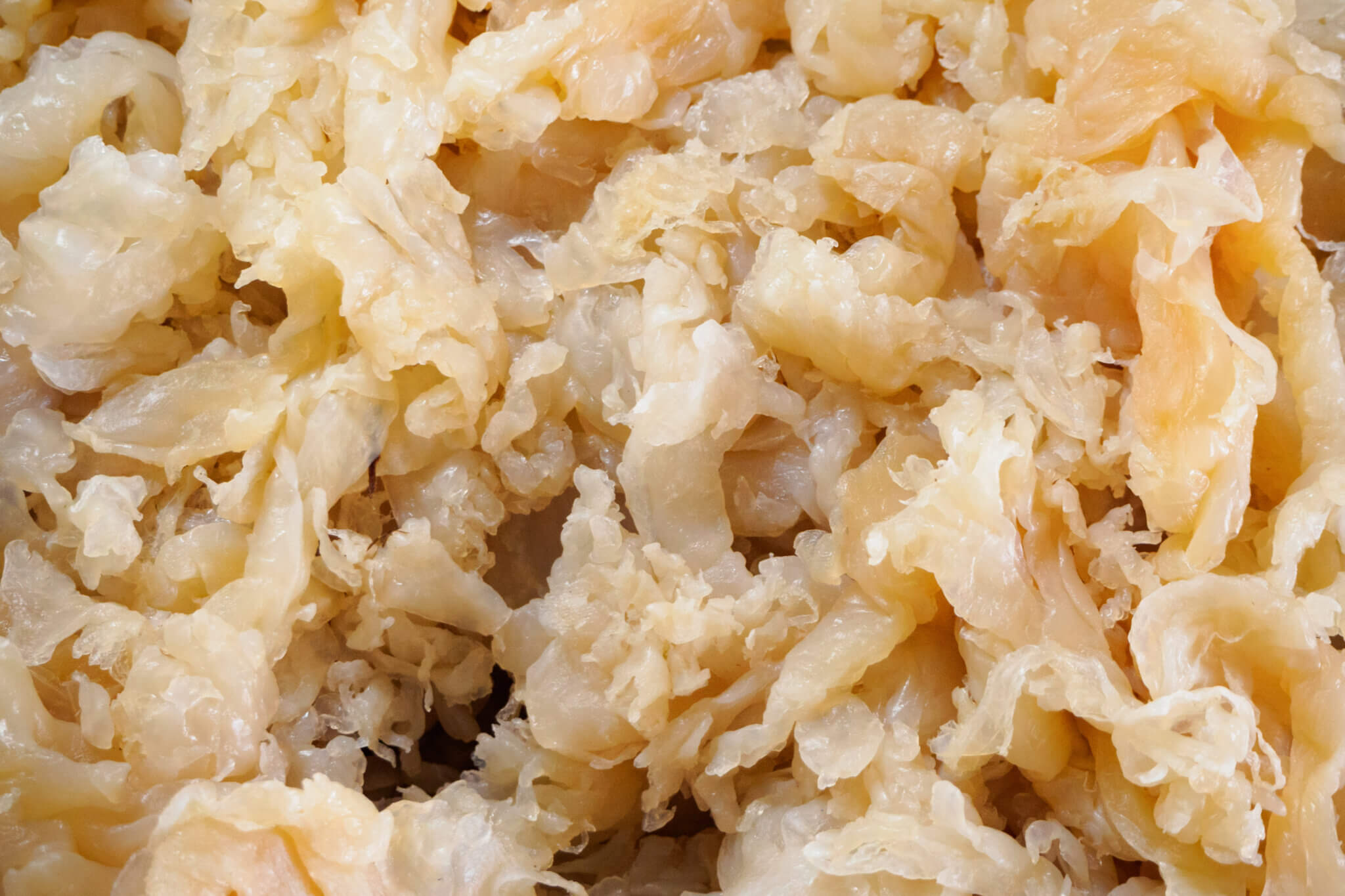 7 Exotic Meats To Try For A Unique And Tasty Cooking Experience