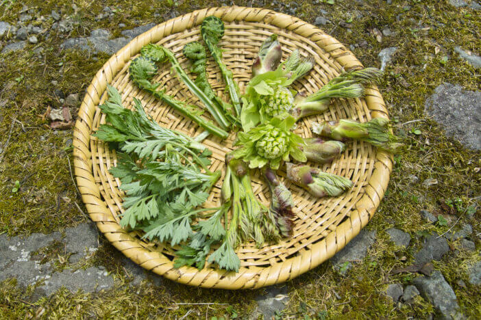7 Traditional Japanese Foods That Boost Health
