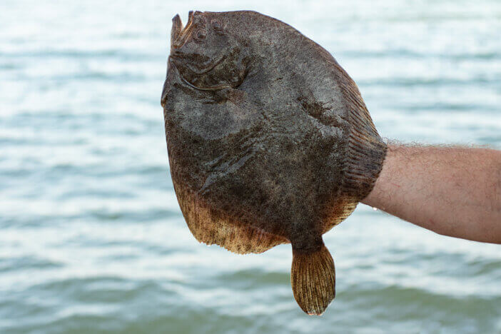 10 Tips on How to Clean Flounder for the Best Flavor and Texture