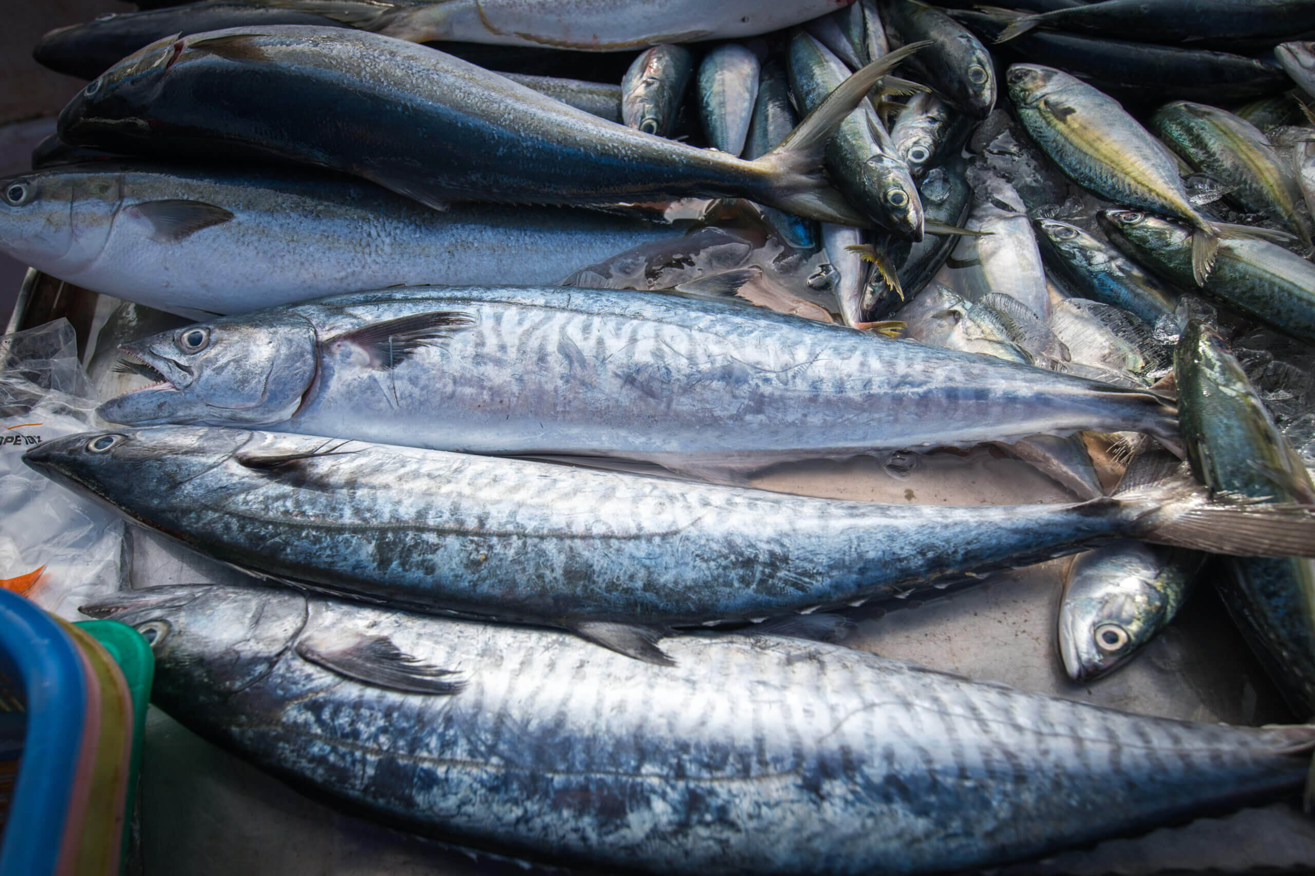 5 Fish to Avoid for Health and Sustainability