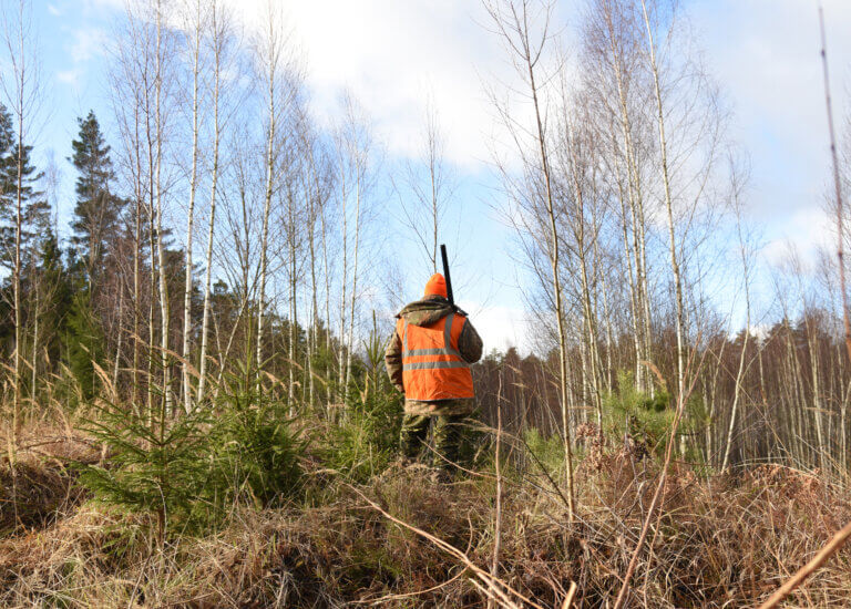 5 Gamey Meats and Why You Should Try Them