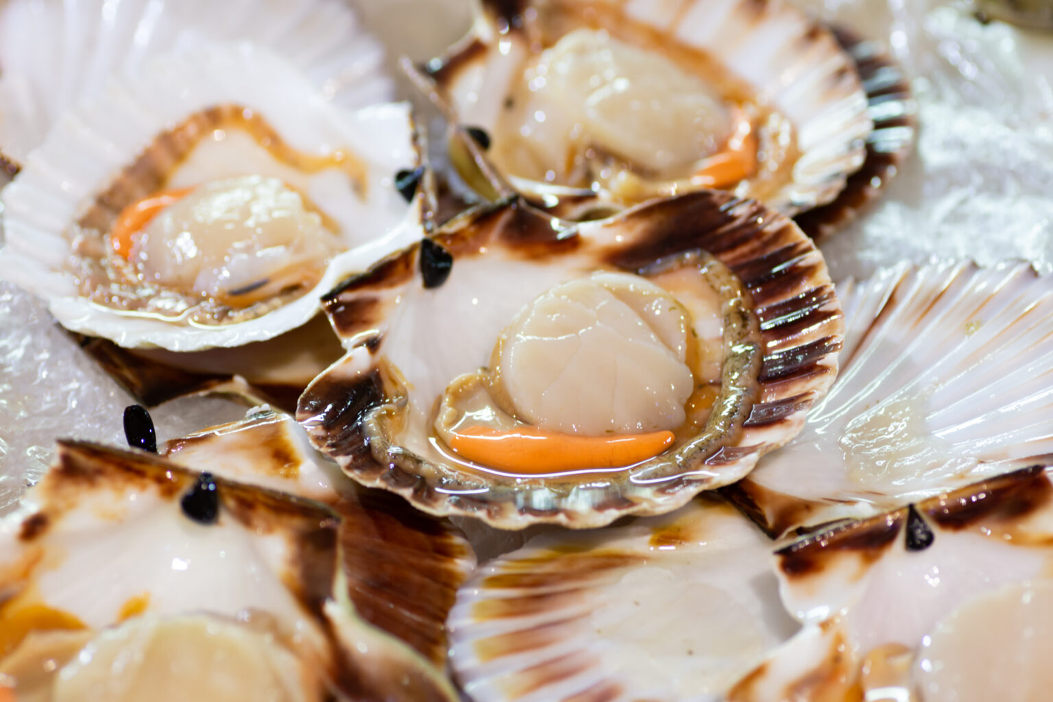 10 Benefits of Scallops to Boost Your Well-Being