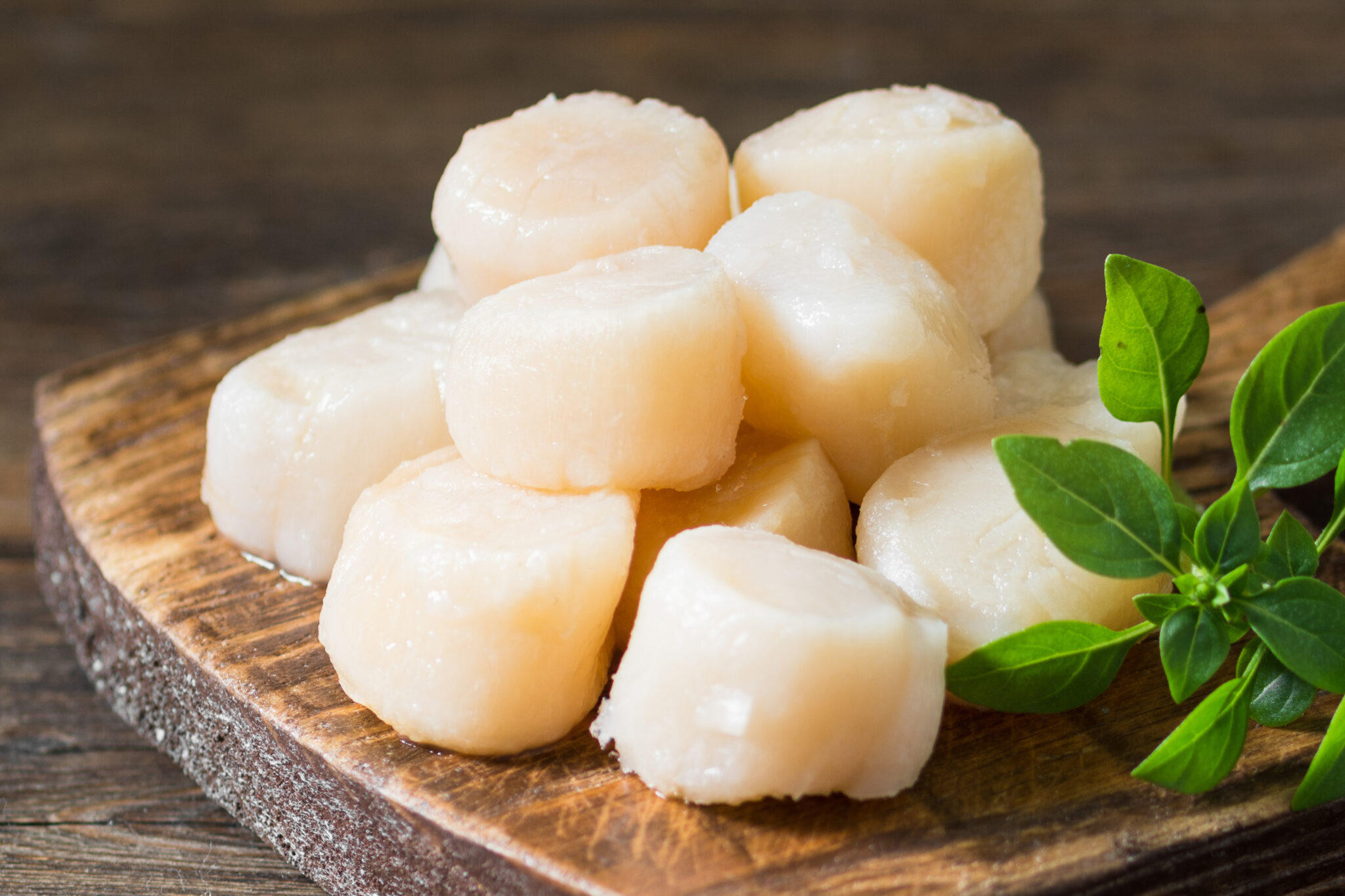 10 Benefits of Scallops to Boost Your Well-Being