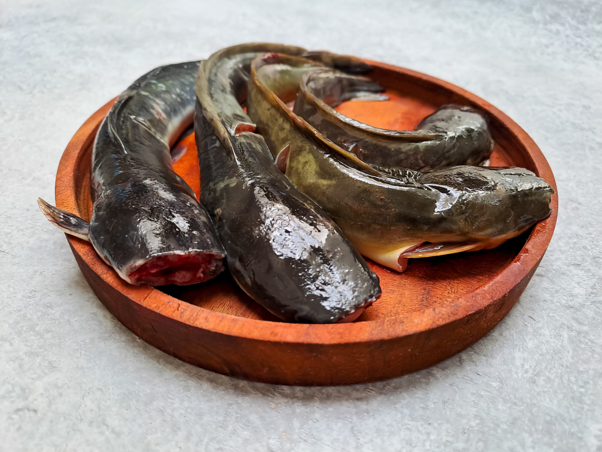 5 Facts About What Does Catfish Taste Like For Delicious Meals