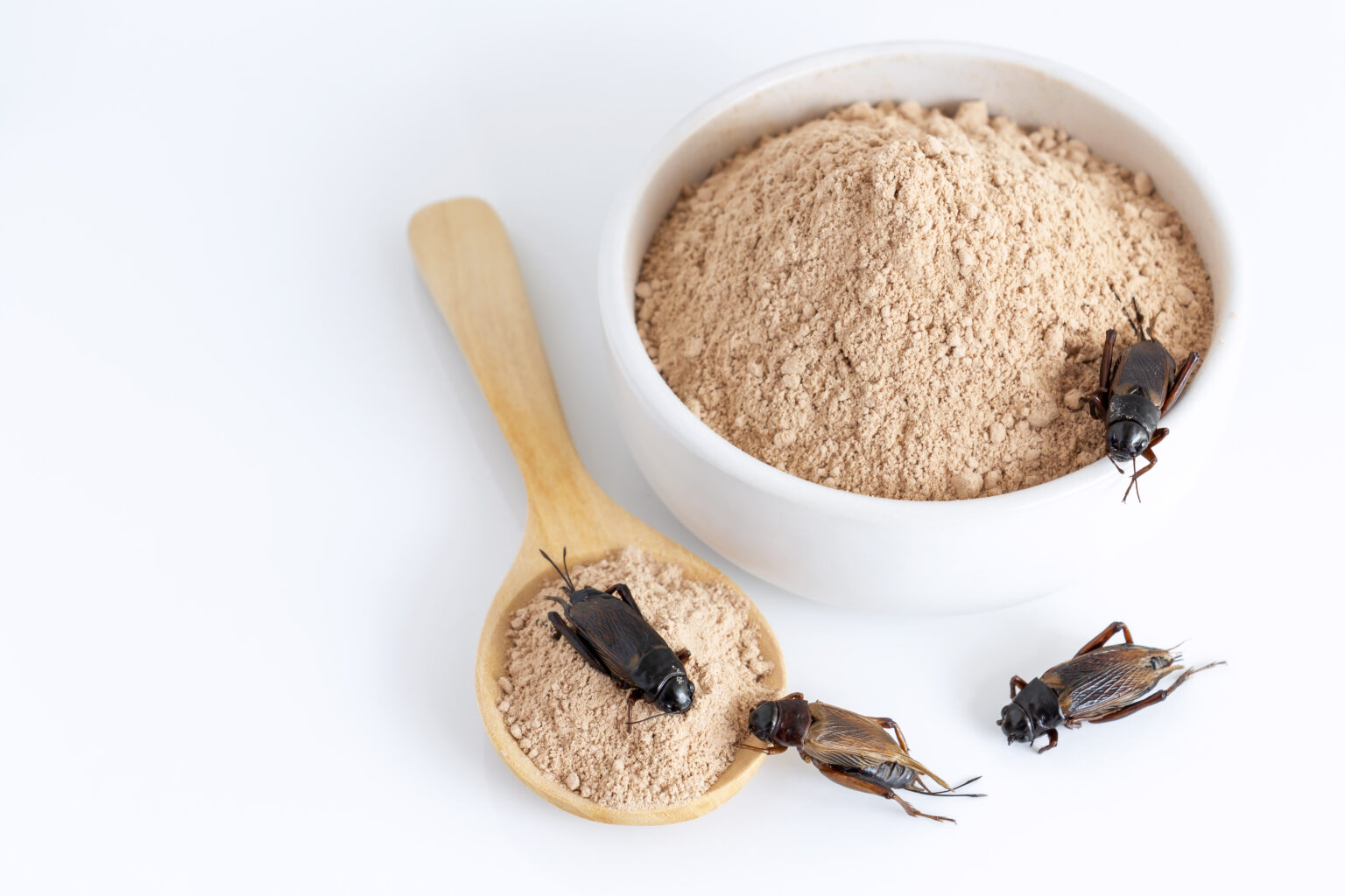 7 Factors Driving the High Cost of Insect Protein and How to Overcome Them