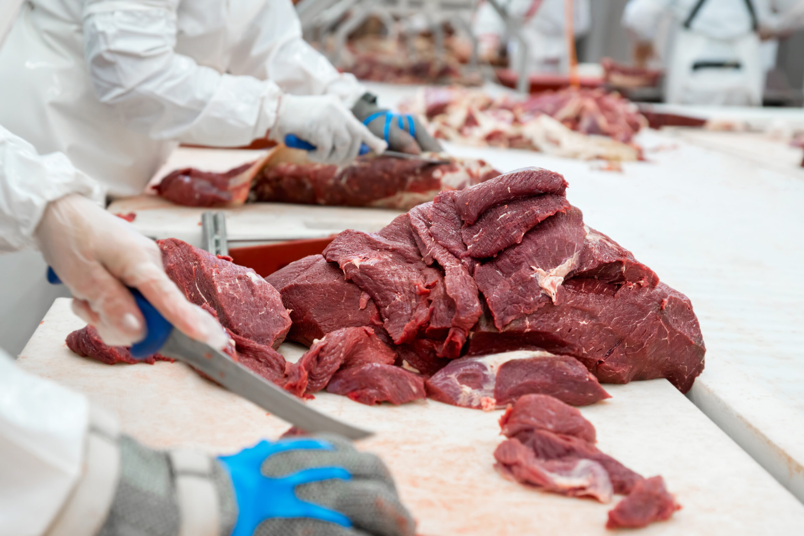 5 Meat Processing at Home Tips to Enhance Your Cooking Skills