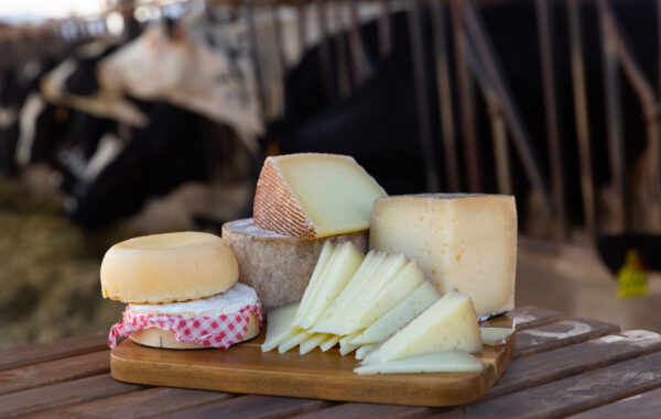7 Artisanal Meats and Cheeses Tips to Elevate Your Dining Experience