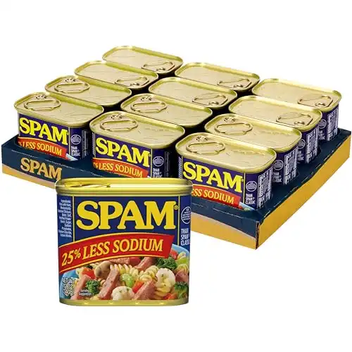 5 Reasons Spam Is So Salty and How to Make It Less Salty
