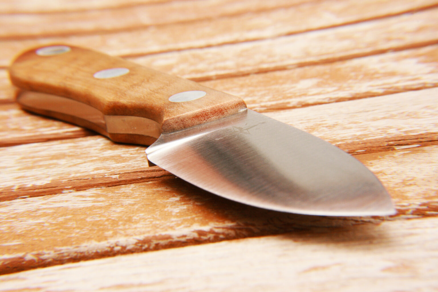 7 Best Trimming Knives for Perfect Meat Prep